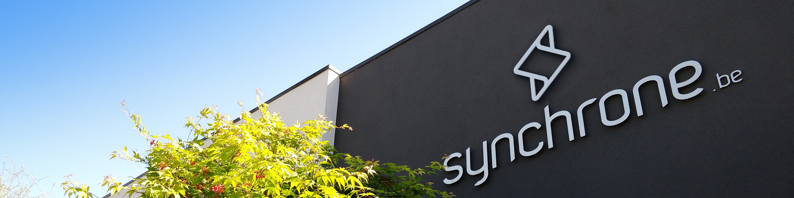 Synchrone : Agence web digitale à Barchon - Belgique